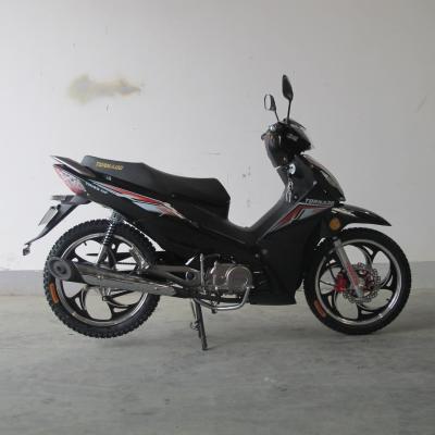 Cina Motociclo del cucciolo dell'accensione TR135-NF 135CC di CDI 7500RPM in vendita