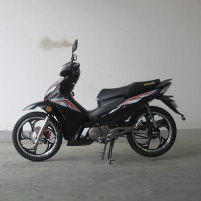 Cina Motociclo del cucciolo dell'accensione TR135-NF 135CC di CDI 7500RPM in vendita