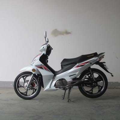 Cina Motociclo del cucciolo dell'accensione TR135-NF 135CC di CDI 7500RPM in vendita