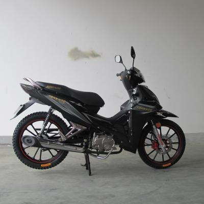Cina Motociclo del cucciolo di 6.5KW Front Disc Brake TR135-NG in vendita
