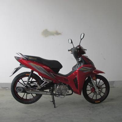 Cina Motociclo del cucciolo di 6.5KW Front Disc Brake TR135-NG in vendita