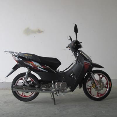Cina TR135B-IIID motociclo del cucciolo da 135 cc in vendita