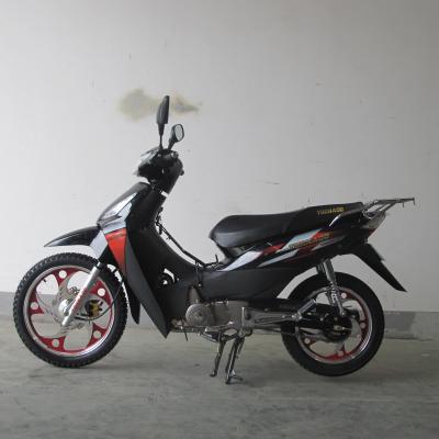 Cina TR135B-IIID motociclo del cucciolo da 135 cc in vendita
