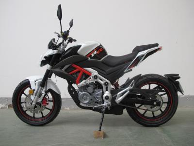 Cina 8000 giri/min. Brutale 250 motociclo nudo di sport di 6 ingranaggi in vendita