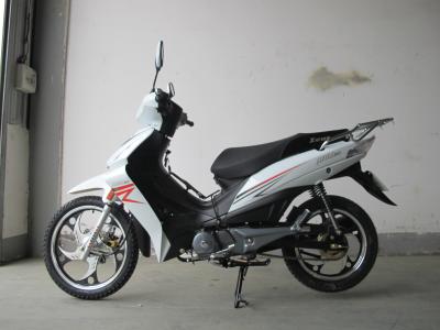 Cina 9.0NM serrano il motociclo del cucciolo dell'accensione 7500RPM 135CC di CDI in vendita