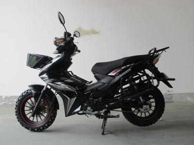 Cina Motociclo del cucciolo del falco 110cc del carico del ciclomotore 165kg di raffreddamento a aria in vendita