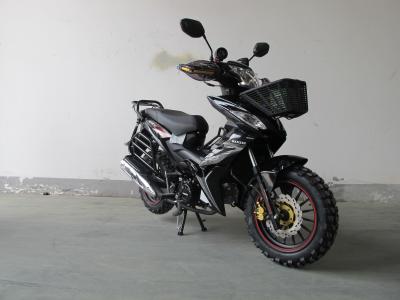 Cina Motociclo del cucciolo del falco 110cc del carico del ciclomotore 165kg di raffreddamento a aria in vendita