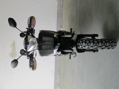 Cina Motociclo del cucciolo del falco 110cc del carico del ciclomotore 165kg di raffreddamento a aria in vendita