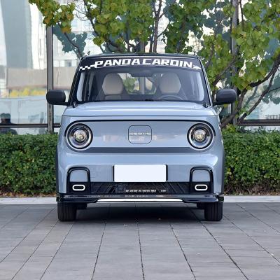 China New Geely Panda Karting EV 2025 210KM Cute Sport Electric Mini Car for Adults for sale