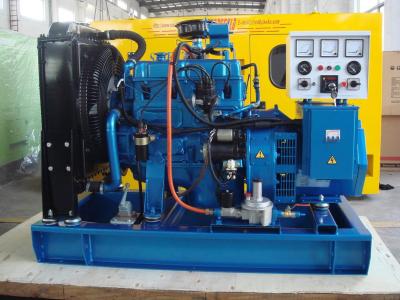 China 20kw nature gas generator set for sale