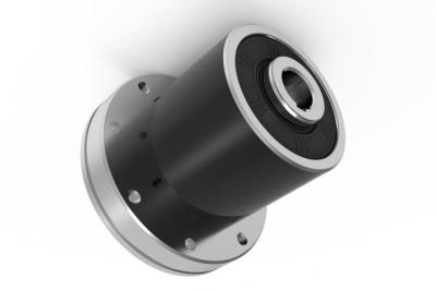 Cina struttura 80 nanometro dell'asse di Ring Precision Planetary Gearbox Hollow della guarnizione di 70mm HNBR in vendita