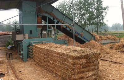 China 8~10T/H HFW100 capacity horizontal straw baler with conveyor for pressing straw into bale from HFBALER for sale