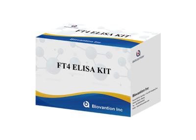 中国 FT4 Elisaテスト キットの自由なチロキシンの血液検査の血清の標本 販売のため