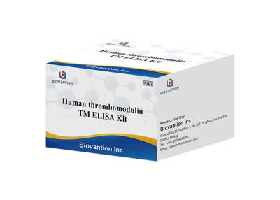 China Human Thrombomodulin TM Fetomodulin CD141 THBD THRM ELISA Kit for sale