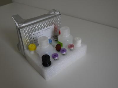 中国 TB-IGRA Elisaテスト キットNMPAの結核菌テスト キット 販売のため