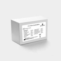China Portable CEA ELISA RUO Test Kit User Friendly for sale