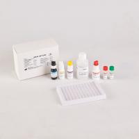 China RUO HBcAb Elisa kit for sale