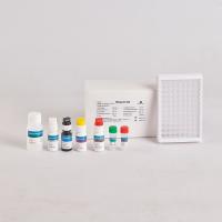 China RUO HBsAg Elisa kit for sale
