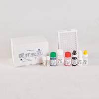 China RUO HSV1 IgM Elisa kit for sale