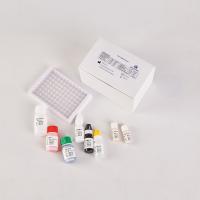 China RUO HSV2 IgM Elisa kit for sale