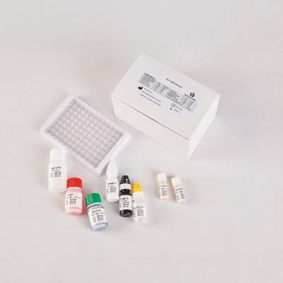 China RUO HSV2 IgM Elisa kit for sale