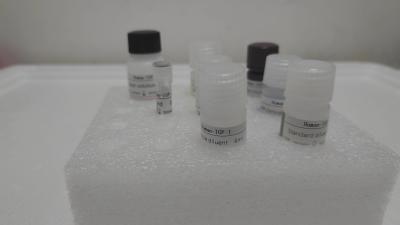 China Ratten NF-κB bewaard bij 2-8°C ELISA-methode RUO-testkit met een specificiteit van 98% Te koop