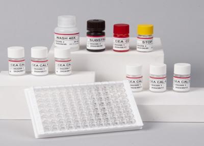 Cina Antigene carcinoembrionale CEA ELISA Test sui marcatori del cancro KIT Laboratorio o ospedale Alta precisione in vendita