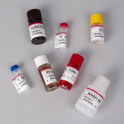 Cina Kit di prova RV-G Elisa per la diagnosi del tipo di campione di plasma in vendita