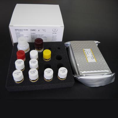 Cina 25-OH Vitamina D Kit di prova Elisa Detezione medica di alta precisione Efficiente in vendita