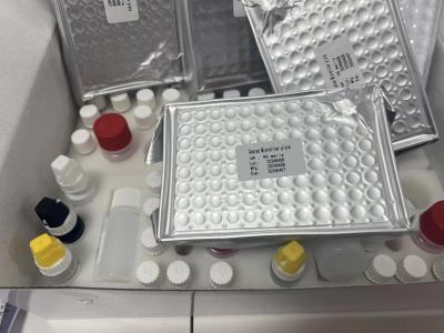 중국 11- 디히드로 트롬보잔 B2 11dhTxB2 ELISA 테스트 키트 IVD 높은 정확성 및 간단한 조작 판매용