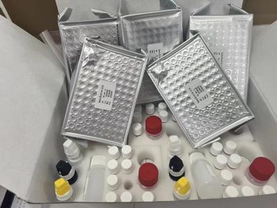 중국 11- 디히드로 트롬보잔 B2 11dhTxB2 ELISA 테스트 키트 IVD 높은 정확성 및 간단한 조작 판매용