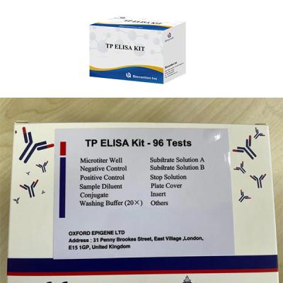 China Male And Female Infection High Syphilis TP Ab Antibody ELISA TEST KIT for sale