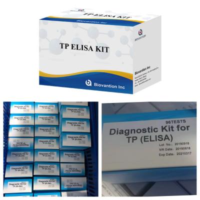 중국 96T 검출 용액 시필리스 항체 효소 연결 면역 검사 ELISA 테스트 키트 판매용