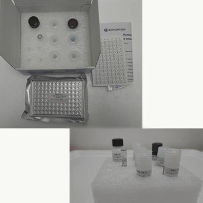 China Human TNF-α RUO Elisa Test Kit voor serum met 96 tests for sale
