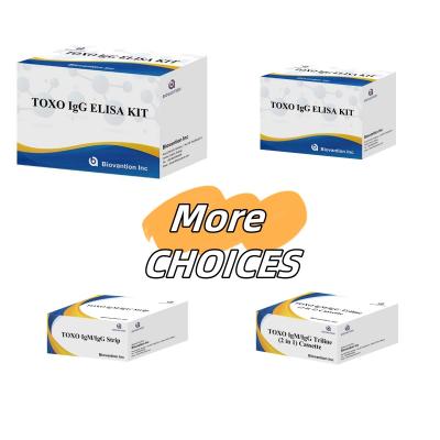 중국 TOXO Ig G 질병 모니터링을 위한 민감하고 특수한 Elisa 테스트 키트 판매용