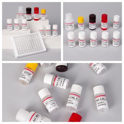 중국 TSH (량적) 민감하고 특수한 ELISA 검사 키트 갑상선 질환 판매용