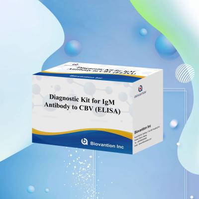 Cina 18 mesi Durazione di conservazione Test di analisi immunosorbente legato agli enzimi per anticorpi IgM contro CBV in vendita