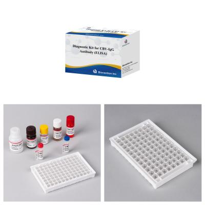 China Sensitivity Diagnostic Kit for CBV-IgG Antibody human detect Elisa Kits for Precise Sample Type Detection for sale