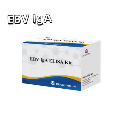 중국 EBV-Zta에 대한 IgA 항체를 진단하는 전문 ELISA 테스트 키트 판매용