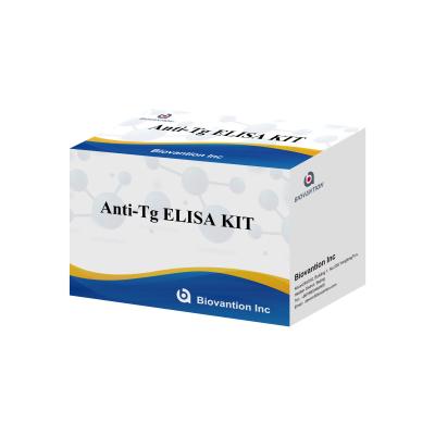 China Elisa Diagnostic Kit For Human Antithyroglobulin Antibodies Anti-Tg For Hospital And Lab for sale
