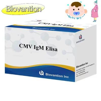 중국 CMV IgM ELISA 키트 높은 정확성 임산부 예방 검사 판매용