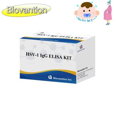 중국 HSV 1 IgG 토치 ELISA 테스트 키트 고온 판매 진단 반응기 IVD 판매용