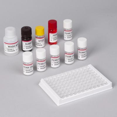 Cina Ferritina Elisa Test Kit Prodotti legati agli enzimi Tempo di trasporto breve in vendita