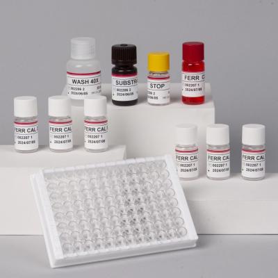 Cina Ferritina Elisa Test Kit Prodotti legati agli enzimi Tempo di trasporto breve in vendita