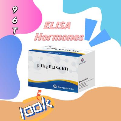 China β-hCG(Quantitative) 1 Hour Elisa Test Kit For Antibody Sensitivity And Specificity for sale