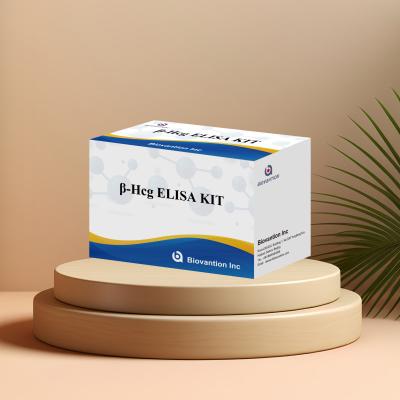 China β-hCG(Quantitative) 1 Hour Elisa Test Kit For Antibody Sensitivity And Specificity for sale