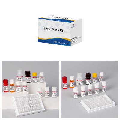 China β-hCG(Quantitative) 1 Hour Elisa Test Kit For Antibody Sensitivity And Specificity for sale