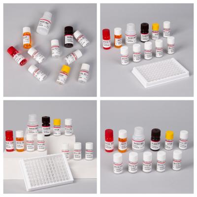 China β-hCG(Quantitative) 1 Hour Elisa Test Kit For Antibody Sensitivity And Specificity for sale