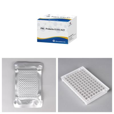 China Sensitivity And Specificity IVD Elisa Test Serum Sample Enzyme Linked Immunosorbent Assay Test Kit for sale