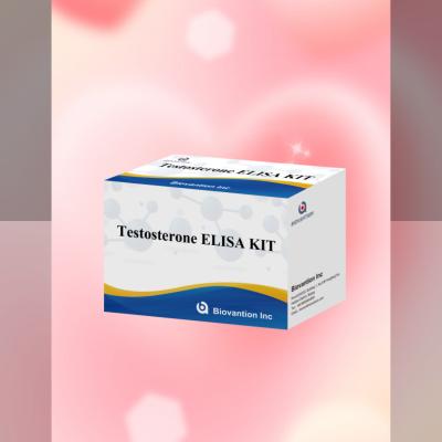 China Serum plasma Specimen Elisa human detect reagent Test0sterone Quantitative Elisa kit for sale